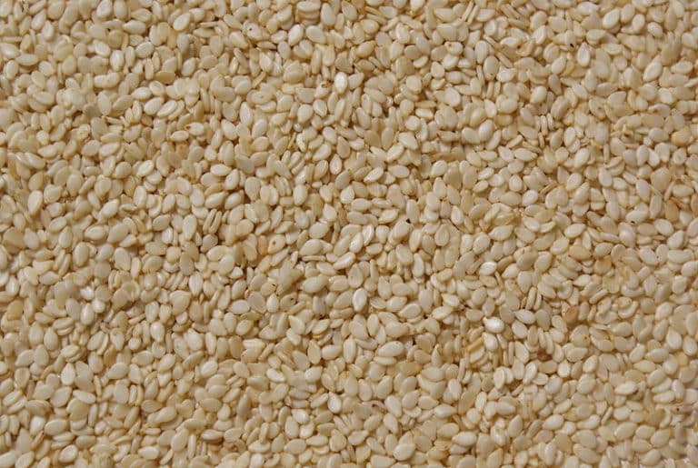Tahini 101: Brand Comparison, Cooking Tips, and Tahini Recipes
