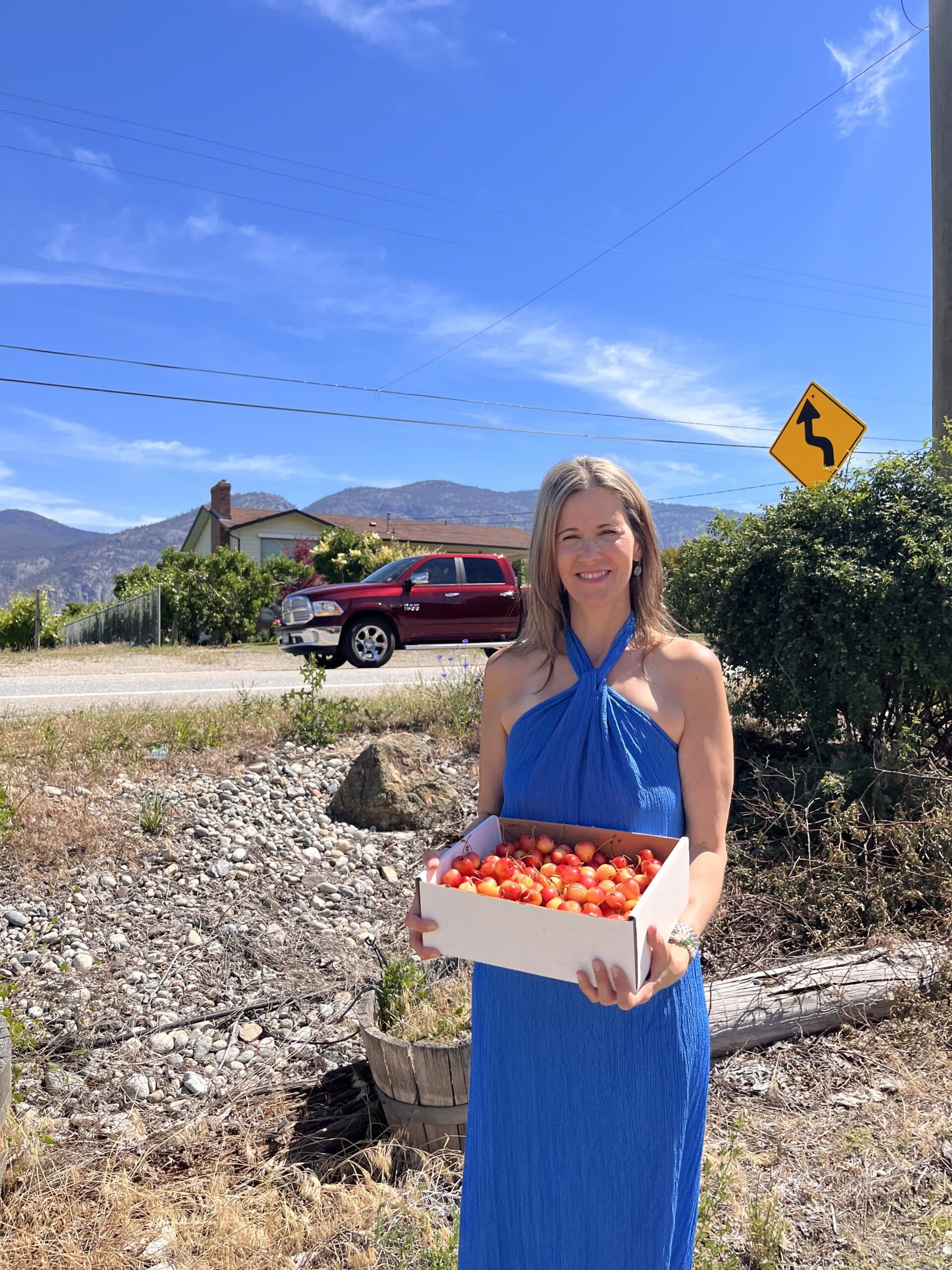 Packing Vegan Food For Vacation Vegan Meal Planning Tips